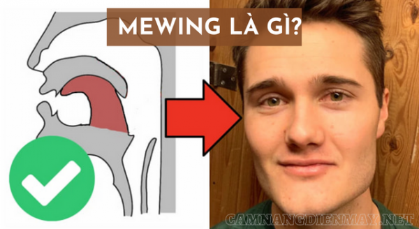 Cách đặt lưỡi mewing đúng chi tiết nhất để mũi cao – môi đẹp – Cẩm Nang ...